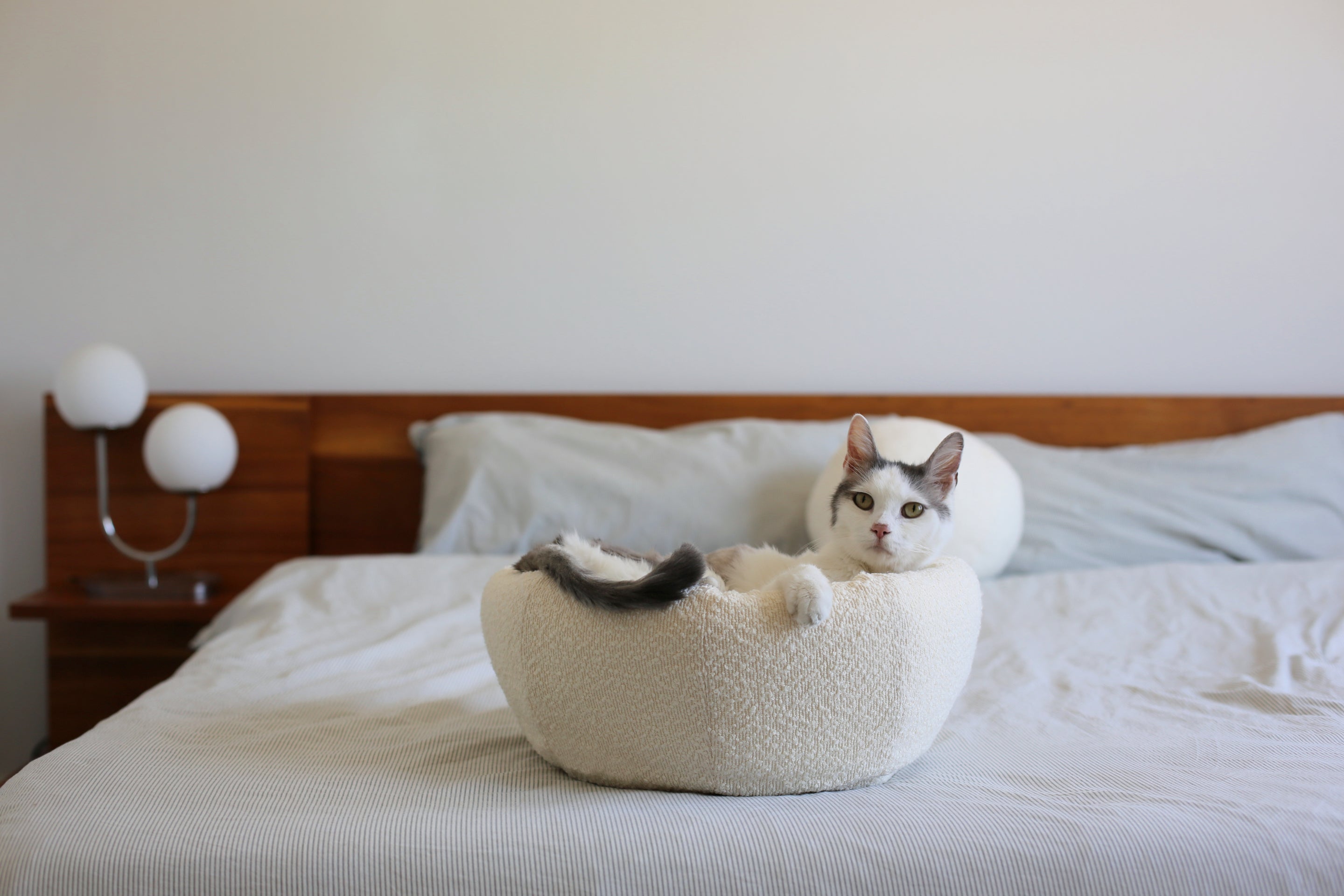 Moon Cave – Katte